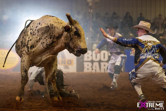 Rockin' D Rodeo Productions – Bulls at the Ballpark